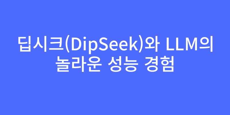 딥시크(DipSeek)와 LLM의 놀라운 성능 경험 - 딥시크